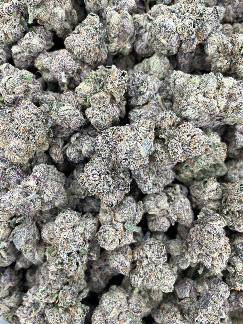 #1 Best wagyu strain - Kush Mintz