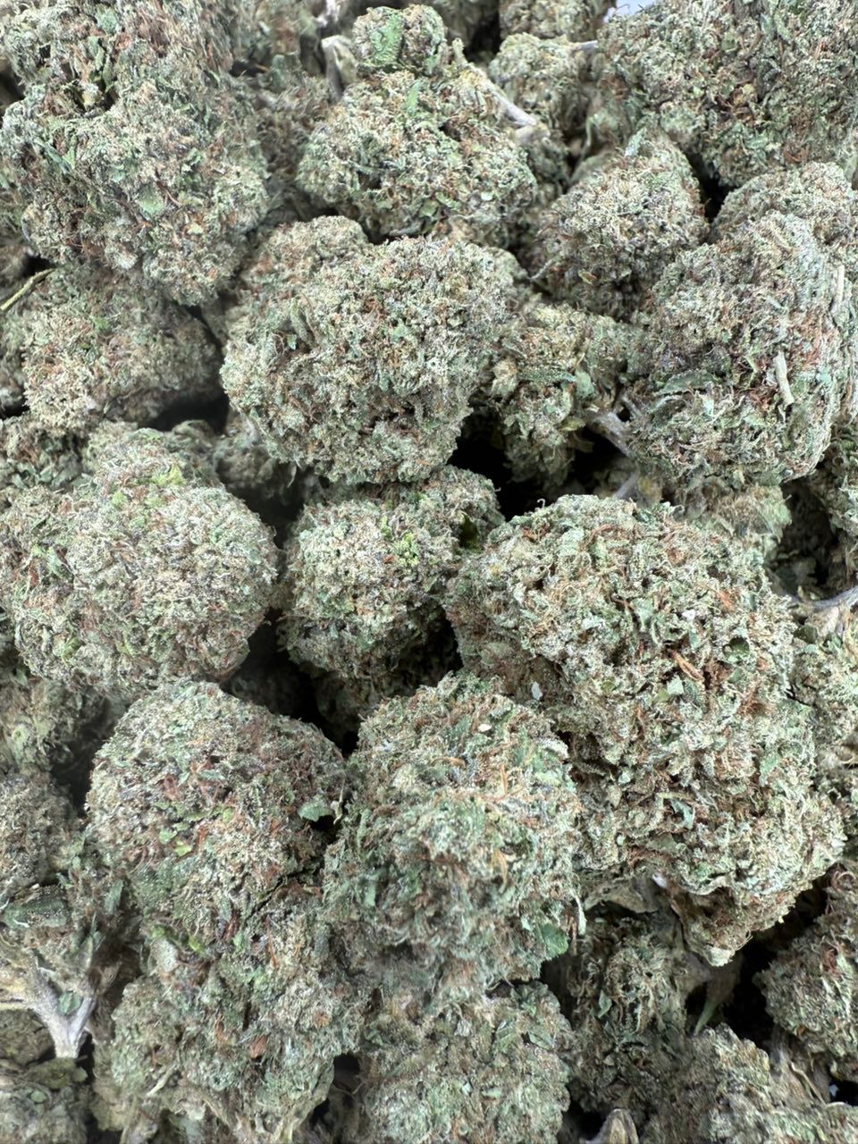 #1 Best Candy Gas Strain - Kush Mintz