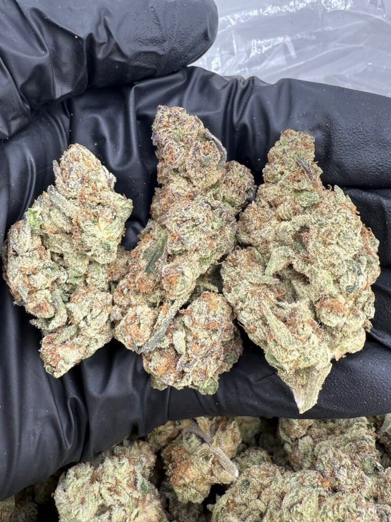 #1 Best Candy Gelato Strain - Kush Mintz