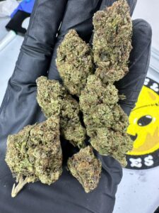 #1 Best Double Runtz Strain - Kush Mintz