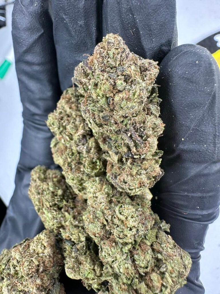 #1 Best Double Runtz Strain - Kush Mintz