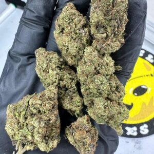 #1 Best Double Runtz Strain - Kush Mintz